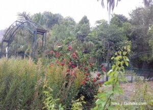 Gulab Bagh in Udaipur | A Magnificent Garden of Lake City