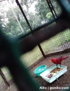 Indore Zoo Sightseeing- Read Before Visiting Indore Zoo